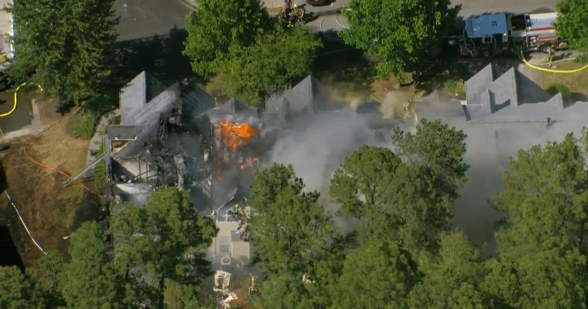 4 townhomes damaged, cat rescued after fire rips through Raleigh ...