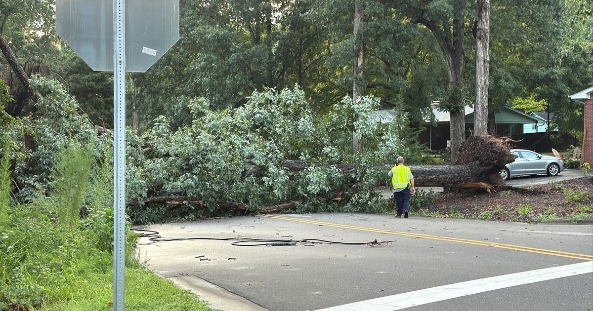 Severe storms knock down massive tree Saturday in Cary :: WRAL.com