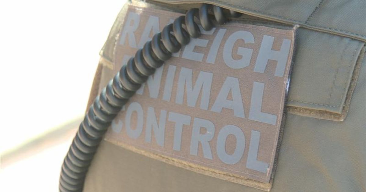 Raleigh cracks down on unleashed dogs in parks: Increased patrols to ...