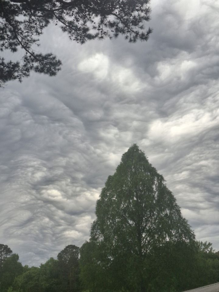 Ask the Meteorologist: What are those interesting clouds in the sky ...