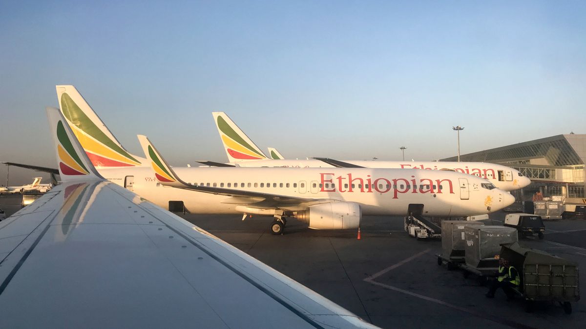 Ethiopia's national carrier cancels flights to Tigray region as fears ...