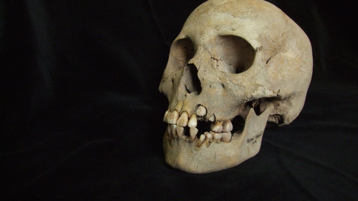 Ancient teeth from Siberia rewrite the plague’s timeline, dating back ...