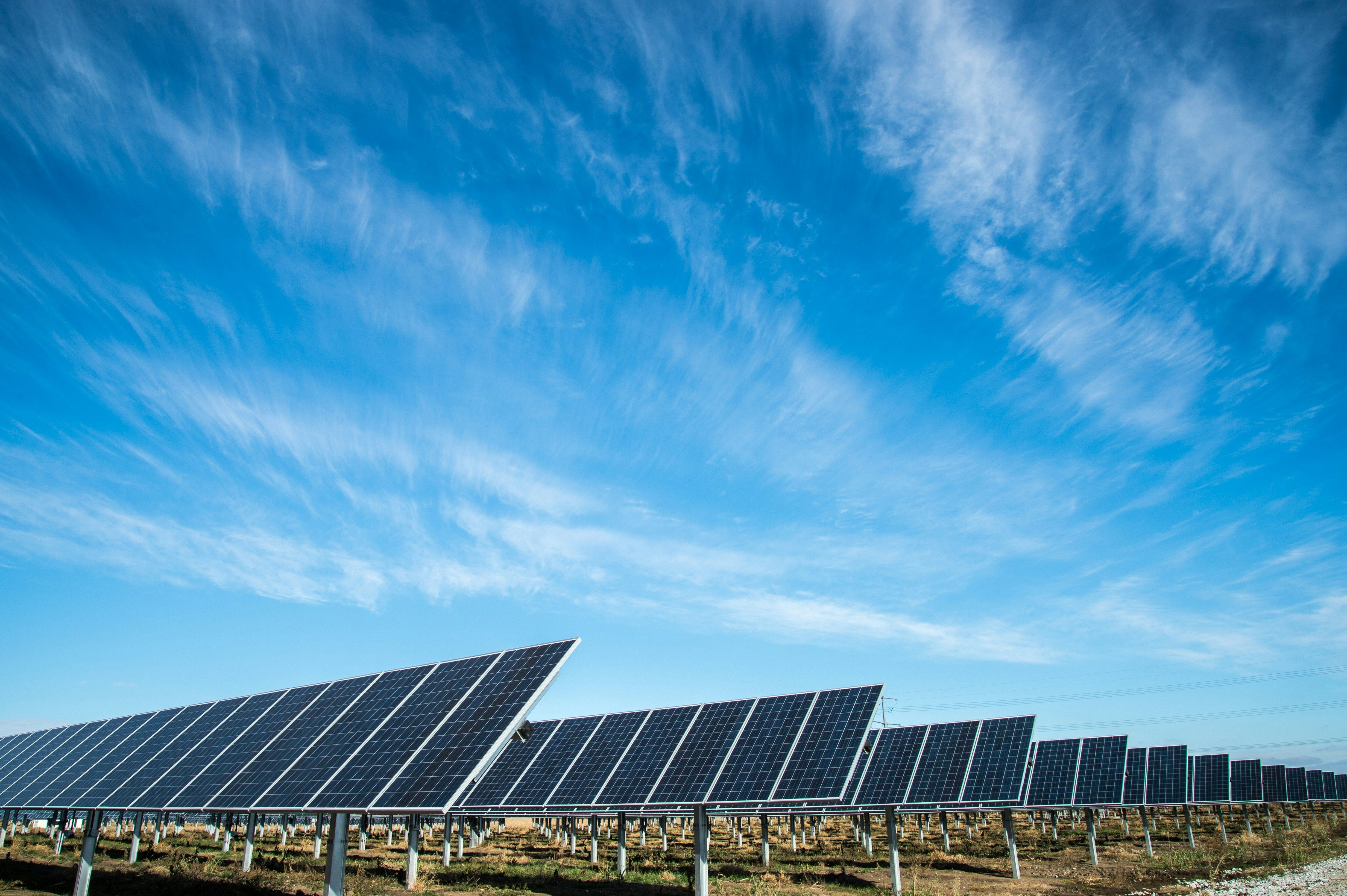 NC Appeals Court upholds Pender County denial of 2,360-acre solar farm ...