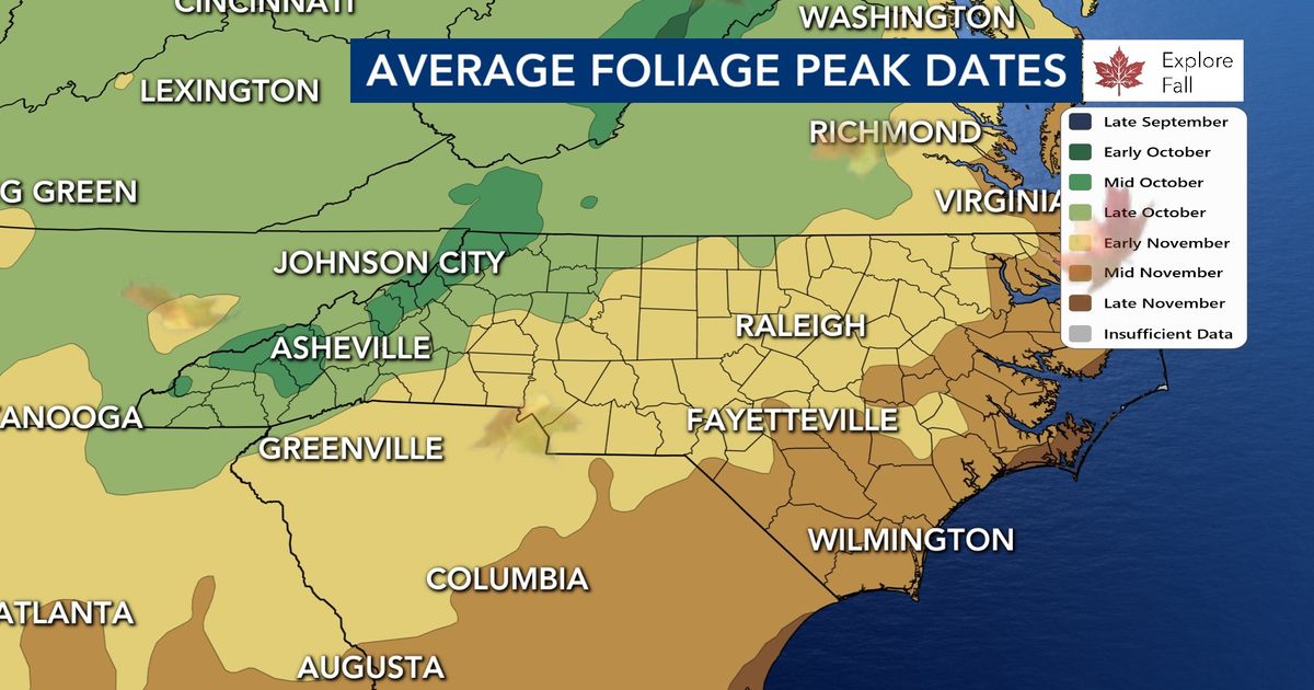 Fall colors in NC: Helene devastates mountains. What does that mean for ...