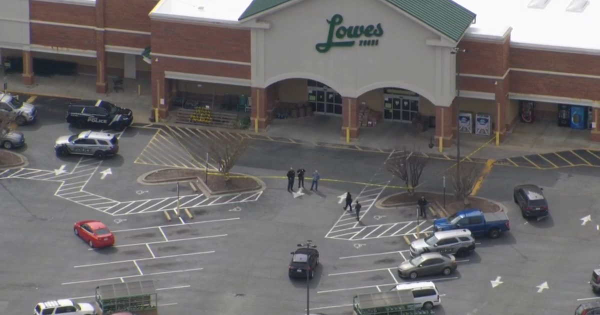 Lowes Foods Mebane Ncnull