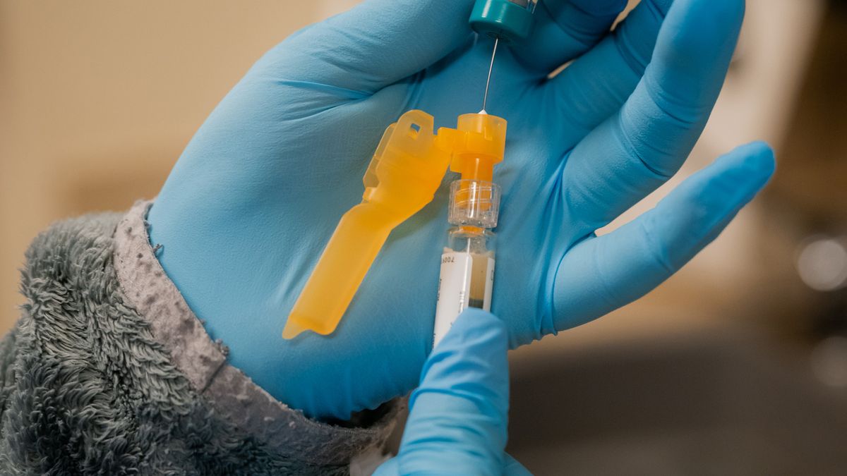 Cabarrus County measles case pushes state's total to 8 since late ...