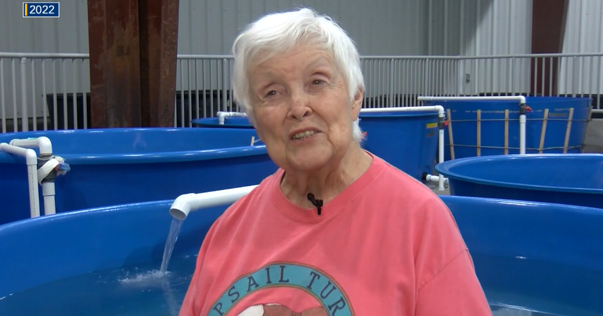 Founding director of local sea turtle rehabilitation center dies at 90 ...