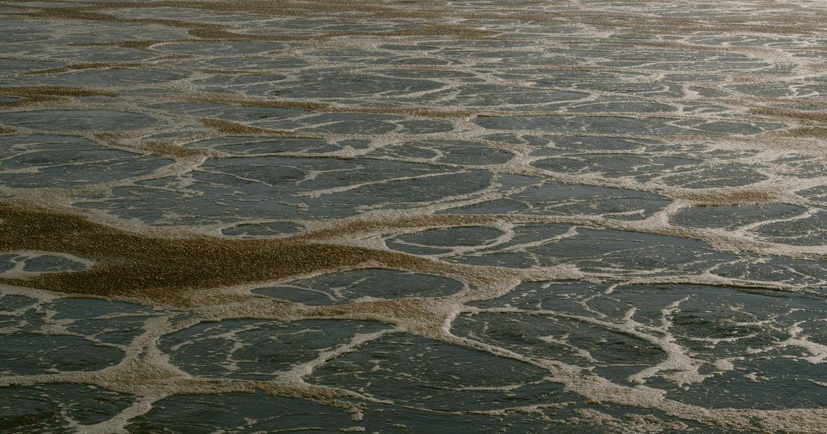 Forever chemicals in sewage sludge: A growing contamination crisis ...