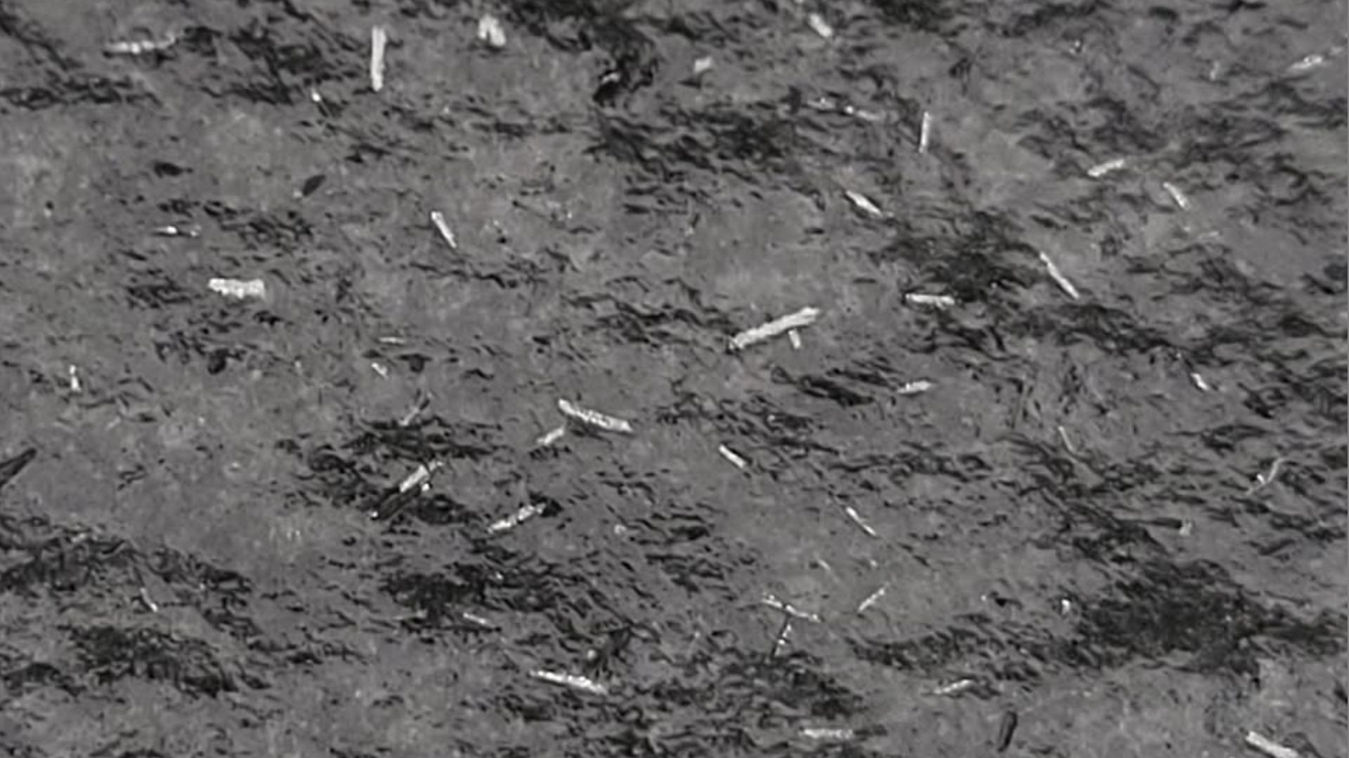 Ask the Meteorologist: How did Saturday's snow differ from a typical ...