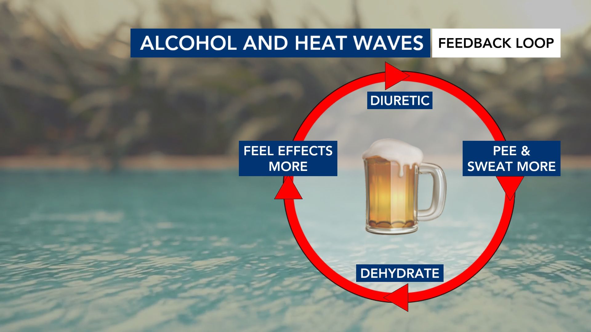 Ask the Meteorologist: Why are alcohol's effects felt more in the heat ...