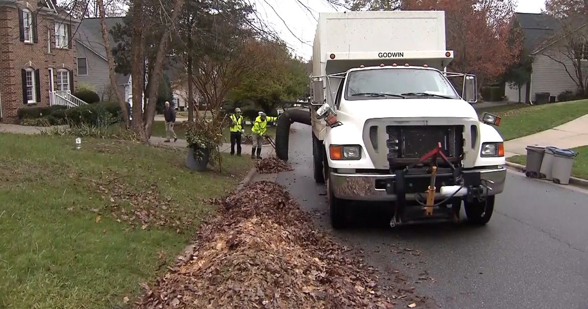Raleigh City Council to discuss potential changes in leaf pickup ...