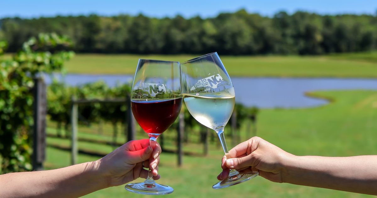 Exciting wine tourism experiences you can try close to home :: WRAL.com