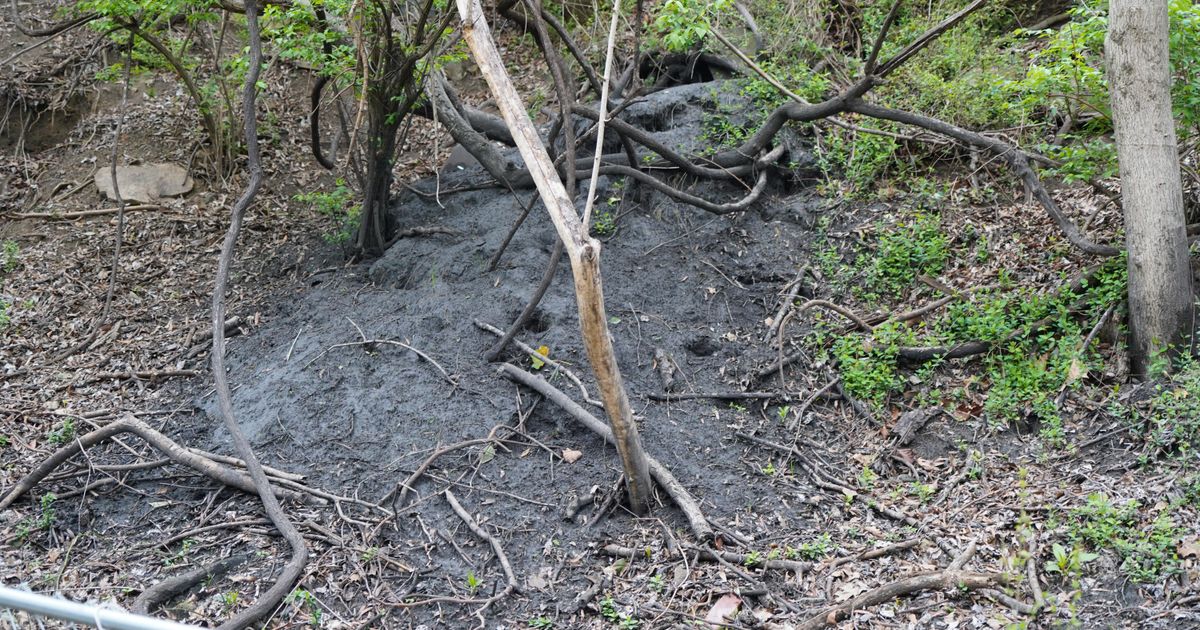 Duke and other utilities push to weaken EPA rules on coal ash ...