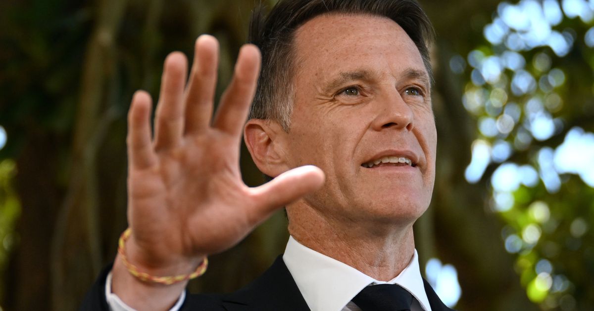 Bureaucratic mishap delayed gun license for accused Bondi Beach shooter ...