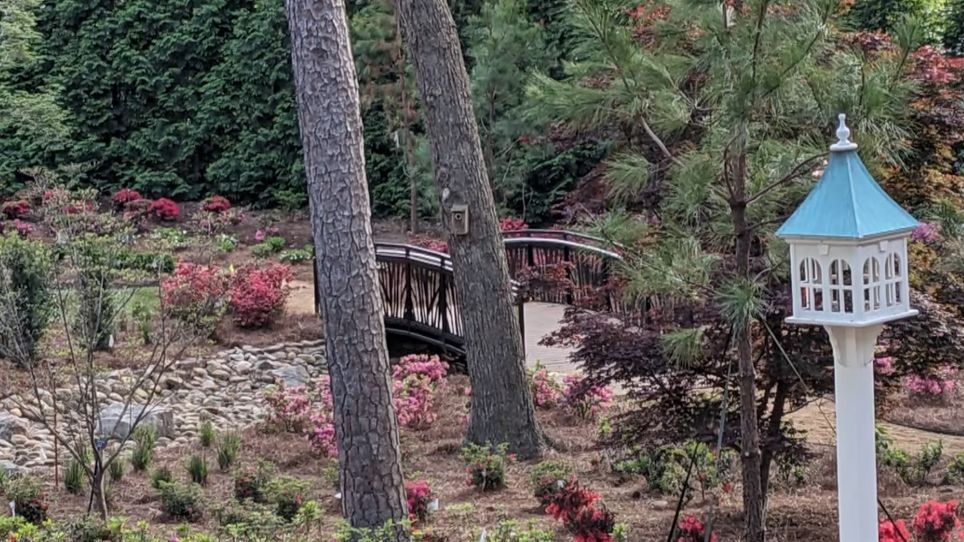 Azalea Gardens