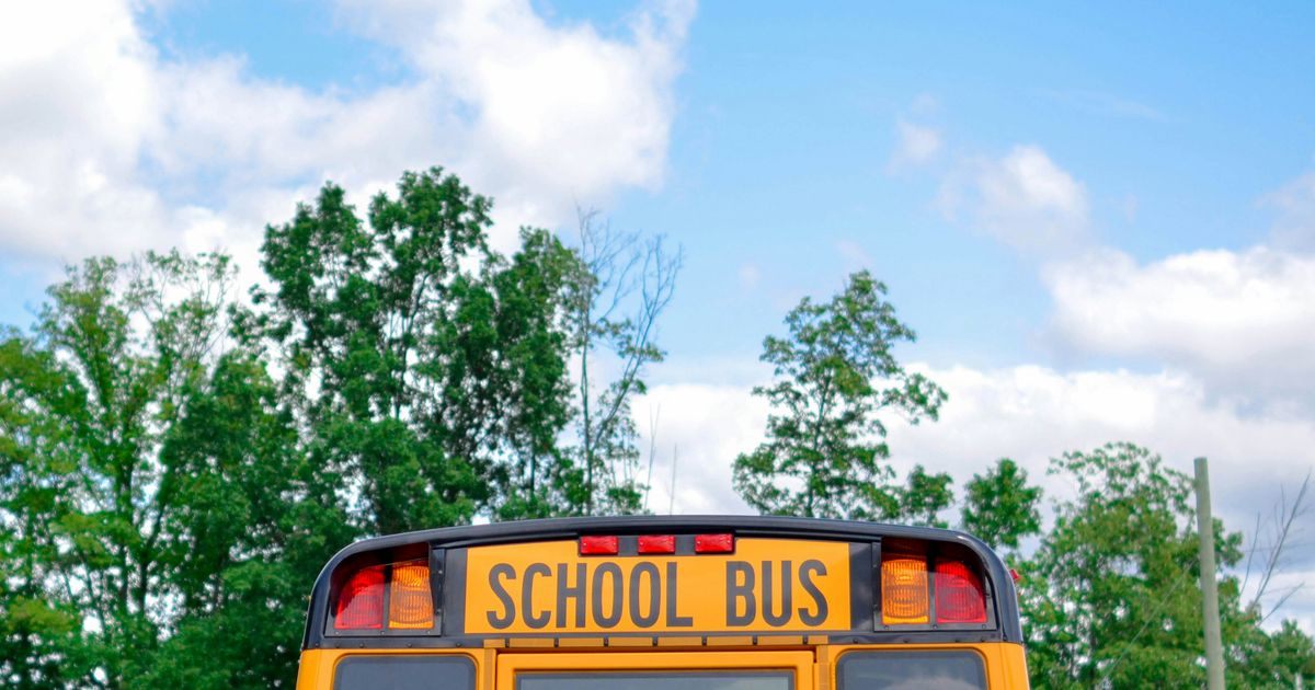 Wake's yellow school bus routes will be fully staffed again, new data ...