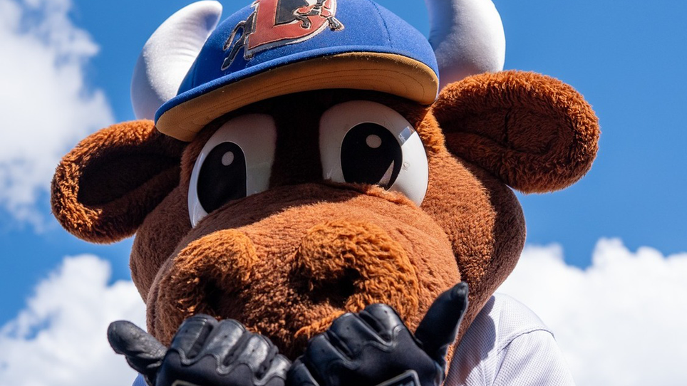 No bull: Durham Bulls mascot nominated for Mascot Hall of Fame :: WRAL.com