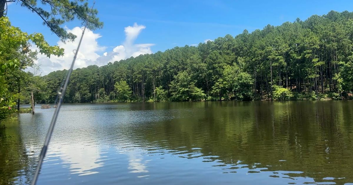 Go Ask Dad: To relish the rinky dink :: WRAL.com