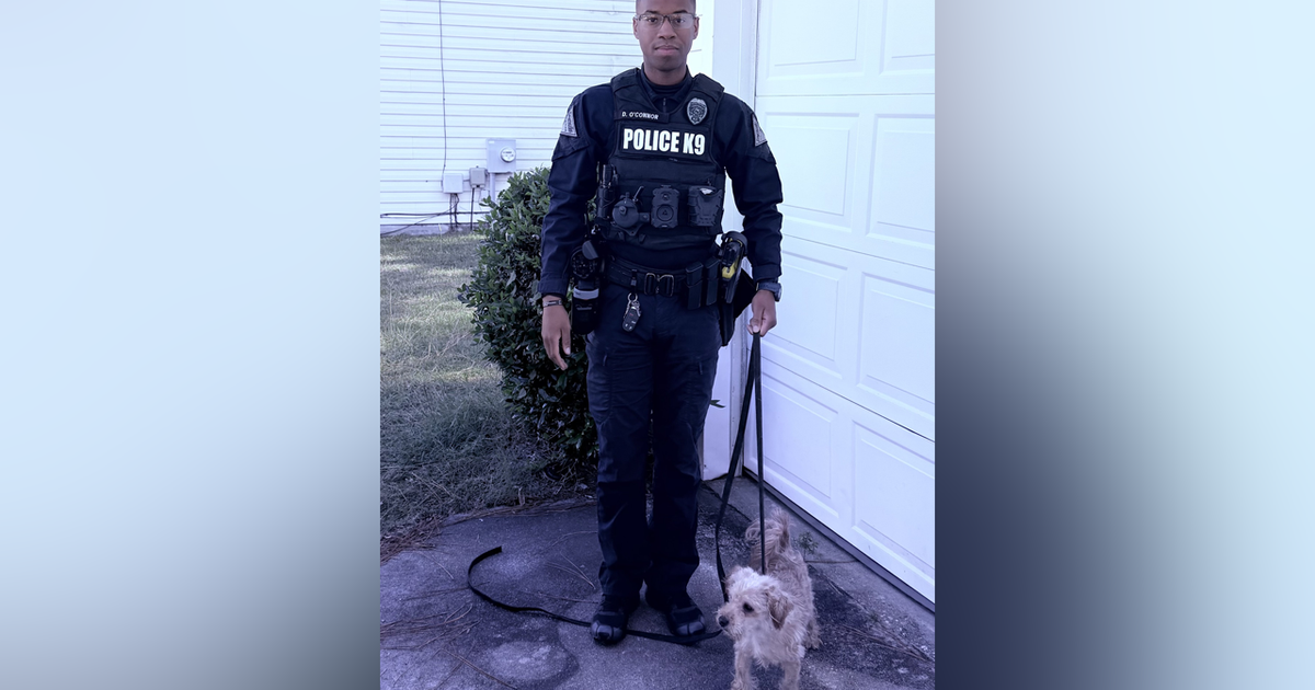 'Long-overdue kindness': Neglected dog rescued by Fayetteville K9 ...