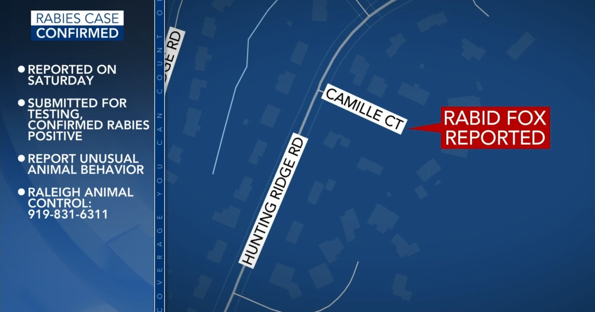 Fox tests positive for rabies in Raleigh :: WRAL.com