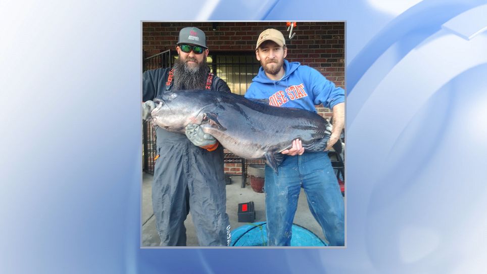 100-pound blue catfish caught in Cape Fear River :: WRAL.com