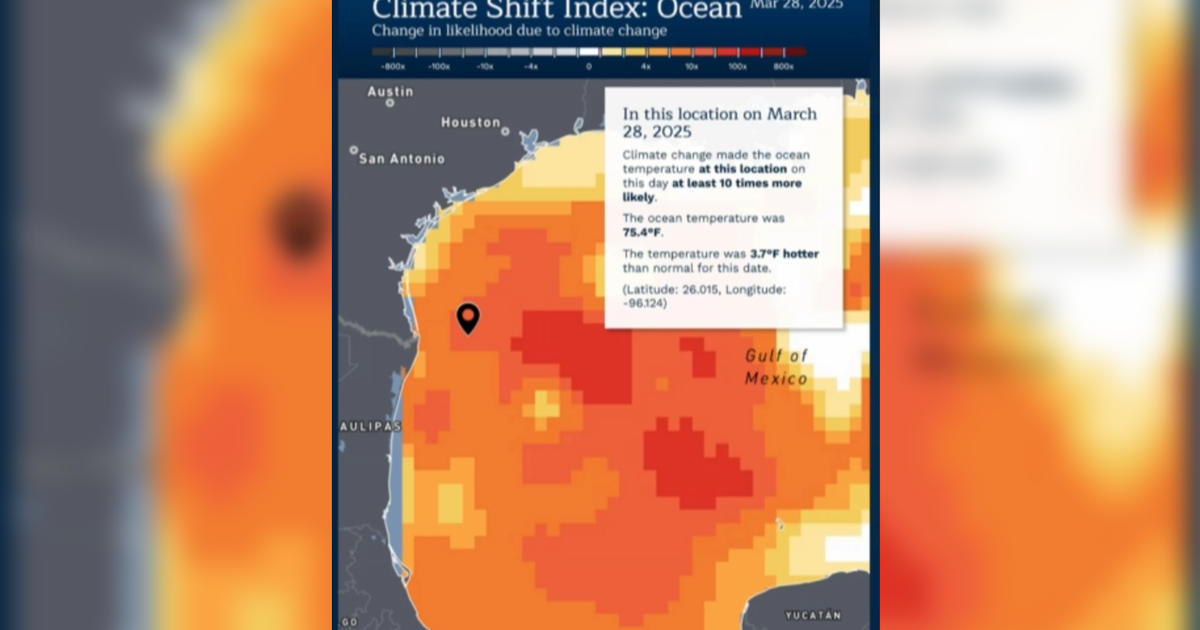 'All in this war together': Climate scientists attribute climate change ...