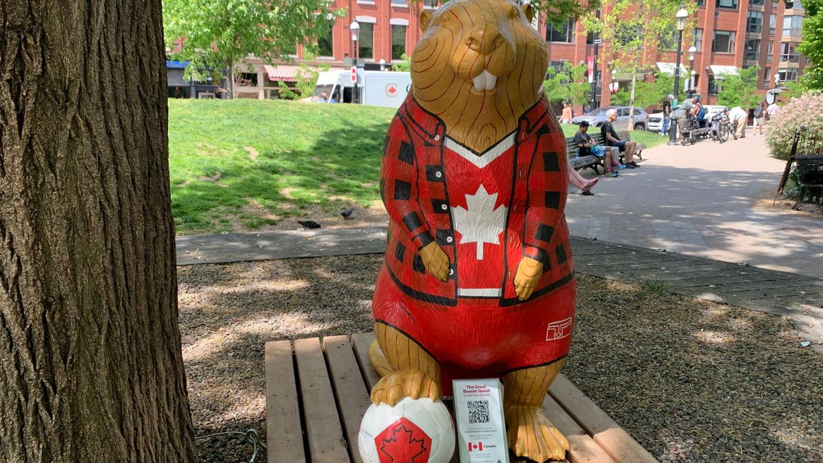 Join the beaver hunt: Toronto neighborhood offers unique World Cup ...