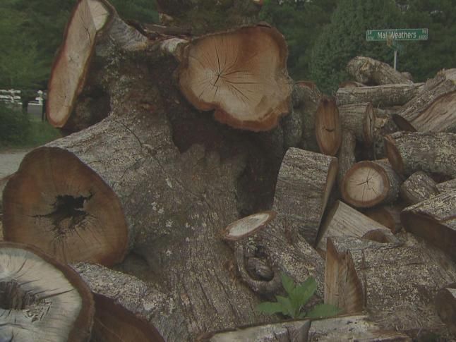 Residents voice concern over Duke Energy tree removal process