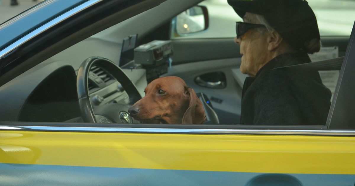 Tips to help senior drivers save money, drive comfortably on the road ...