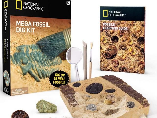 NATIONAL GEOGRAPHIC Mega Fossil Dig Kit with 15 Fossils only $19.99