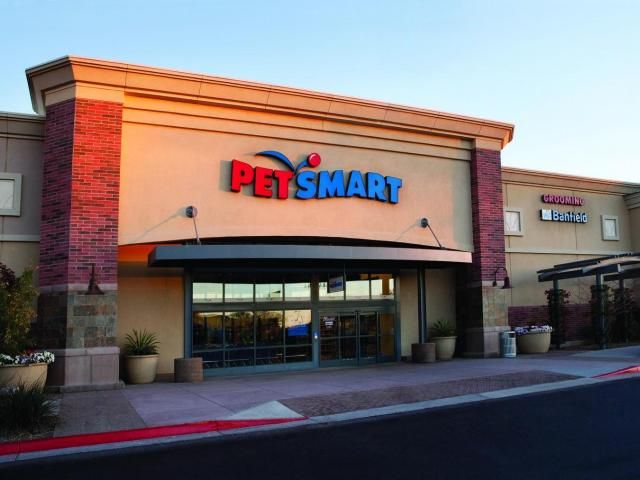 Free pet photos with Santa at PetSmart on Sunday