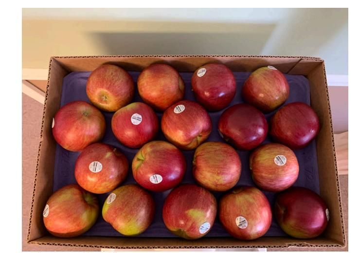 Recall: Fresh Apples due to possible Listeria contamination