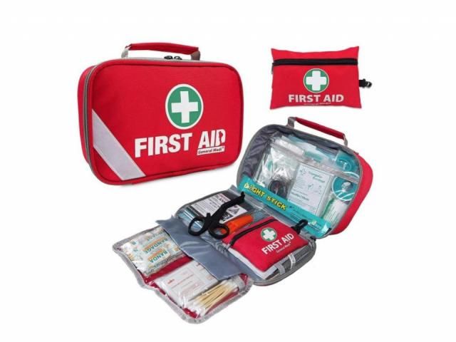 First Aid Kit with Bonus Mini Kit