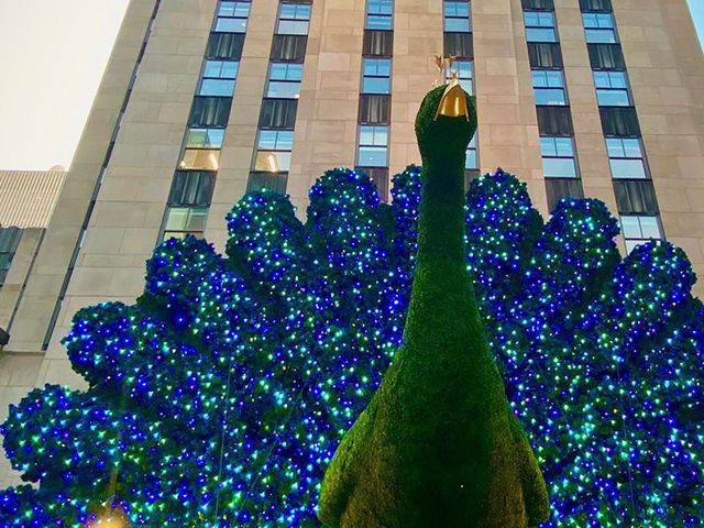 Everything you need to know about Peacock, NBC's new streaming service