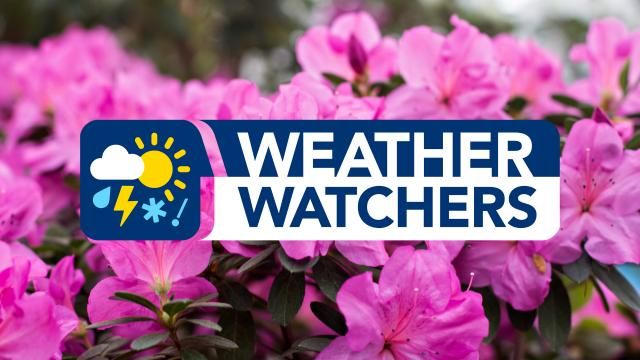 WRAL Weather Watchers: Share your photos (Ends 12/31/24)