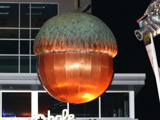 Race is on to fix iconic Raleigh acorn before First Night celebration