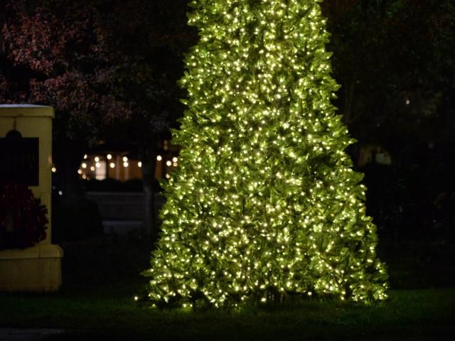 List: Tree lightings and parades in the Triangle