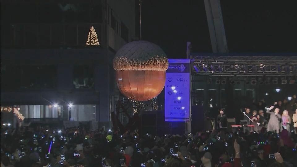 Acorn drop brings in 2015