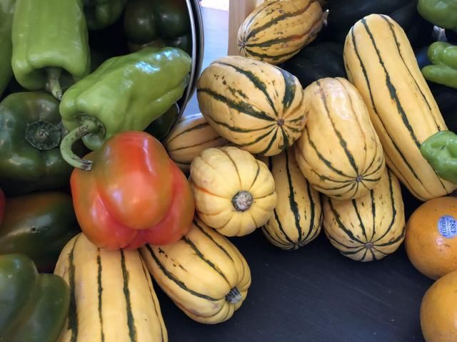 New report documents food insecurity in NC and the US