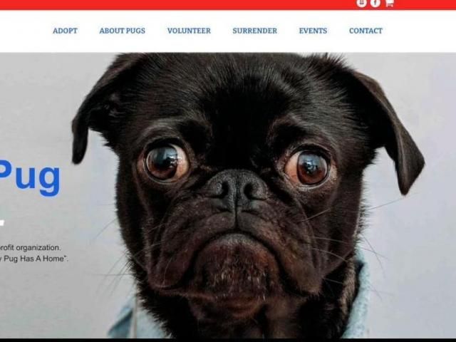 Local pug rescue raises $4K at annual event