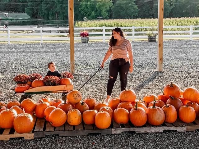 Phillips Farms in Cary transforms into fall festival