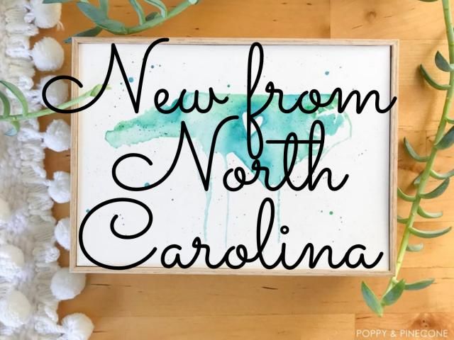 New and Upcoming Releases from NC Authors
