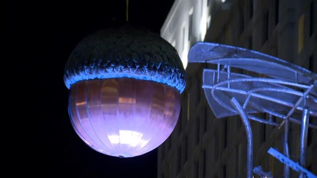 Happy 2026: The acorn drops in downtown Raleigh