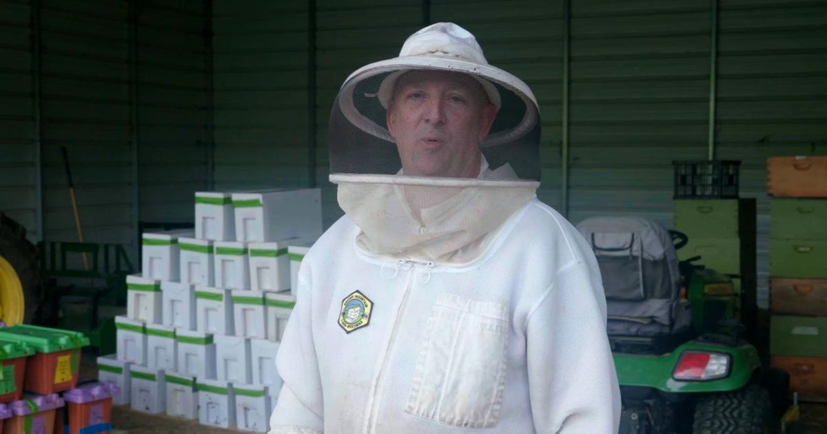 NC beekeepers unite to revive honeybee population after Hurricane ...