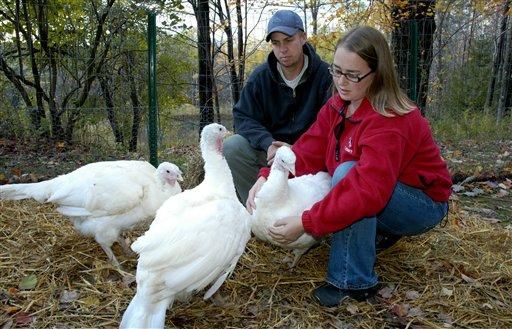Untraditional Thanksgiving Traditions