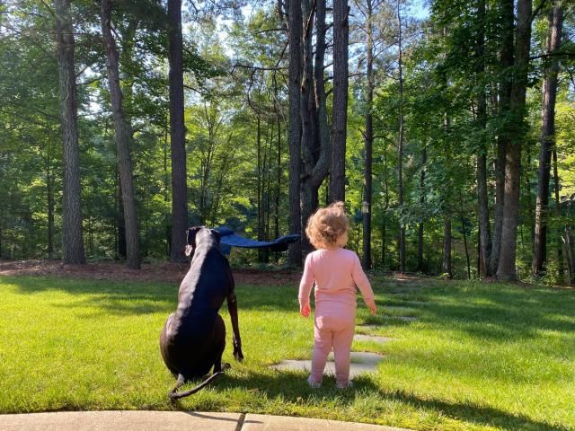 Ashley Rowe: No search engine could compete with human connection ...