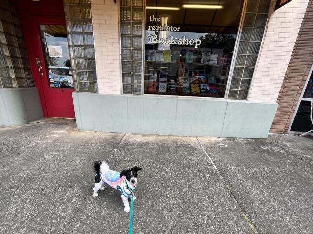 Take your dog shopping with you at these 5 places in Raleigh