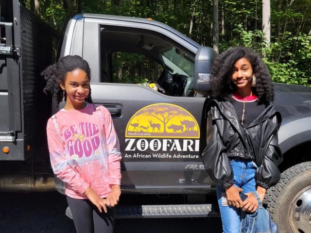 Zoofari at the NC Zoo: Mom's first safari experience