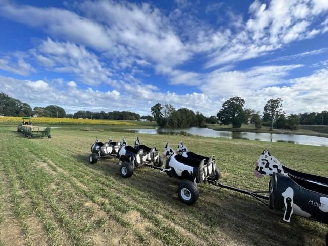 Phillips Farm: Your one-stop fall adventure destination