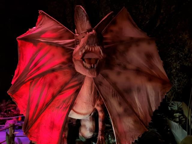 Travel back in time to visit T.Rex and friends at Dinos Alive! in Raleigh